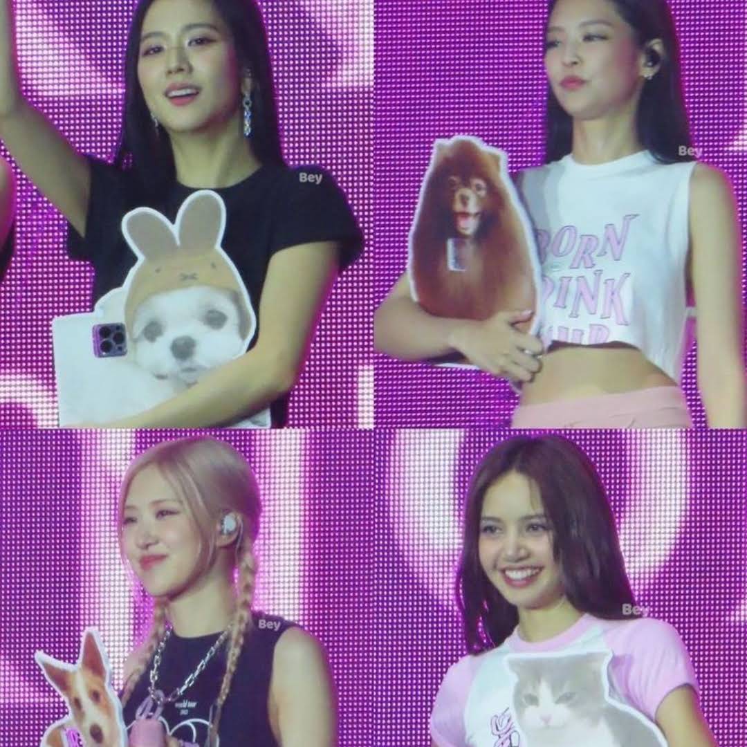 Post from 𝑹𝒐𝒔𝒂