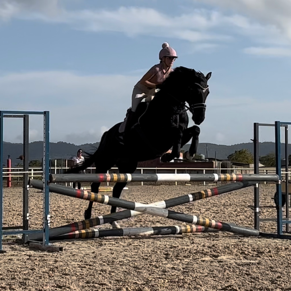 Post from Agueda Dressage
