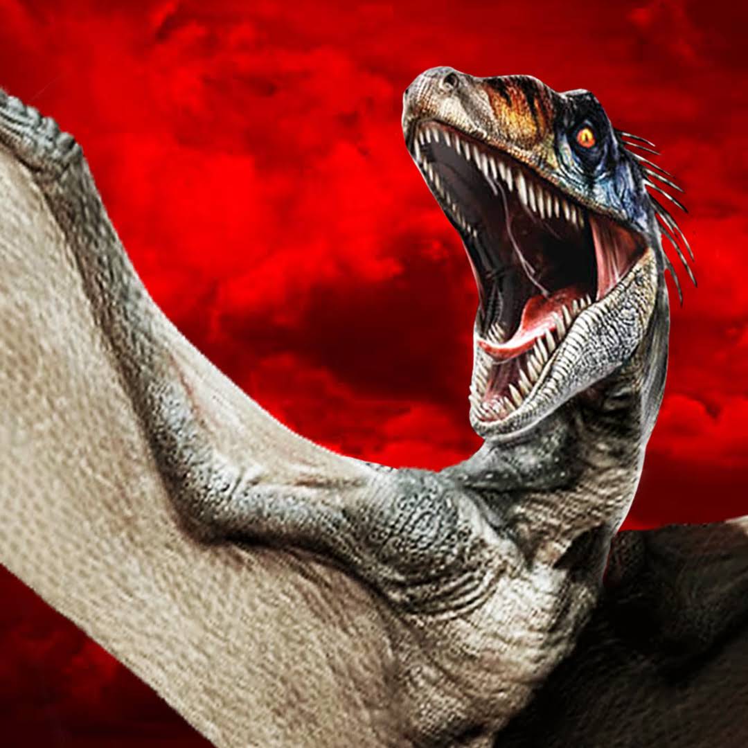 Post from Evolution Square