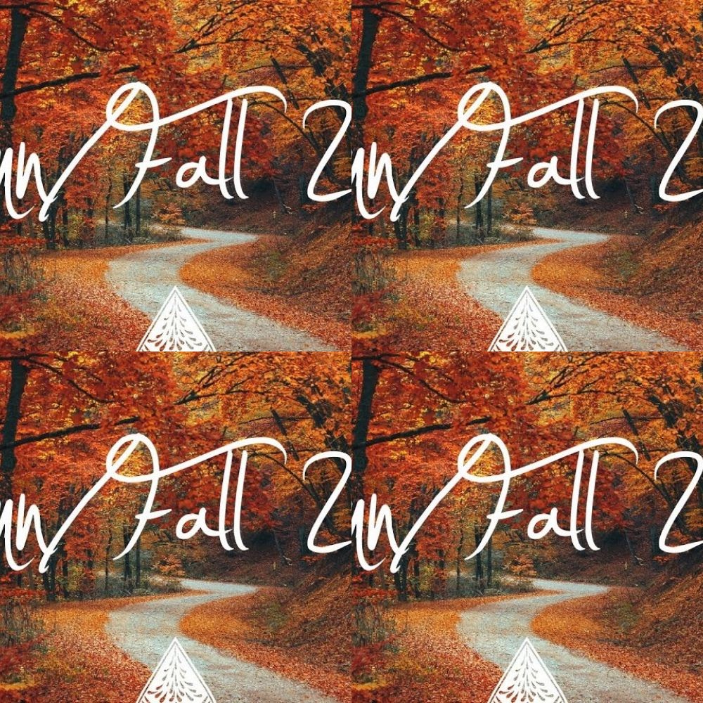 Indie/Indie-Folk Compilation - Autumn/Fall 2021 🍂 (1½-Hour Playlist)