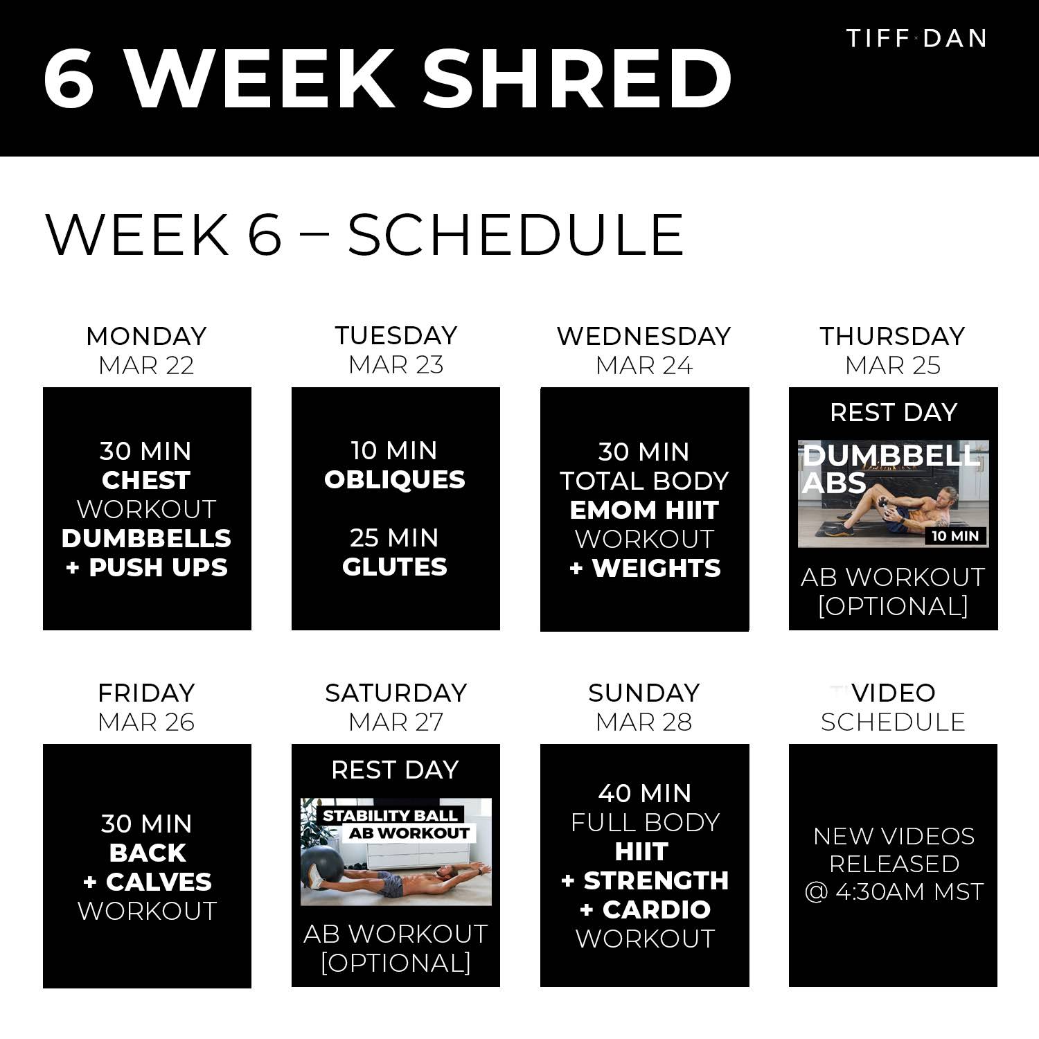 Post from TIFF x DAN