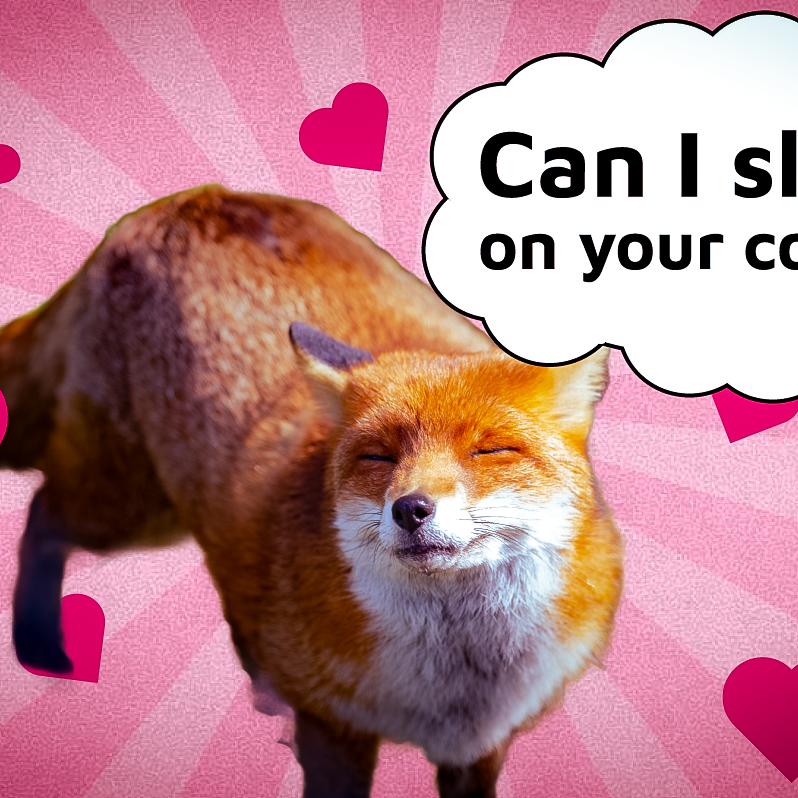 Post from Glee Animals