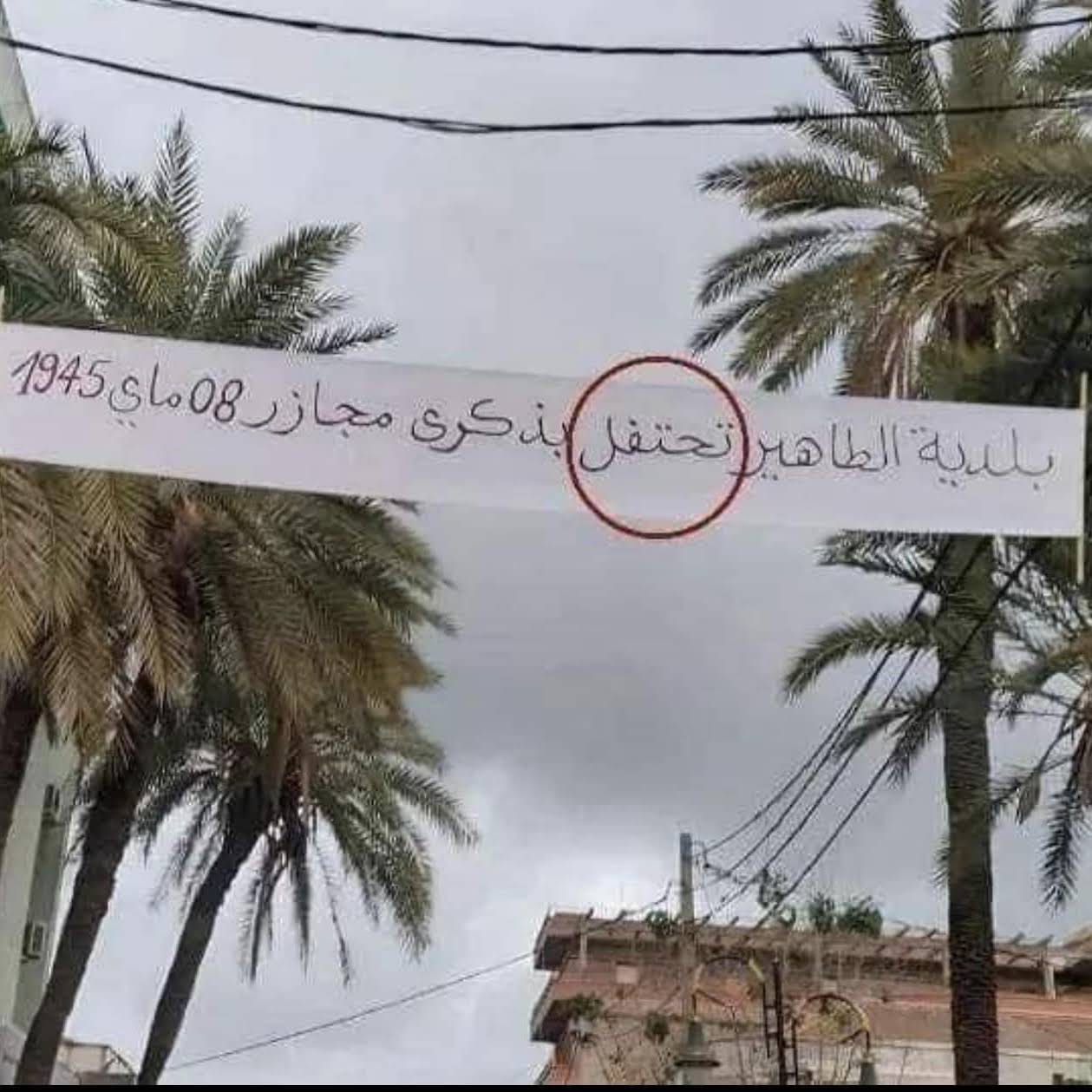 Post from Mohamed Larbi Zitout