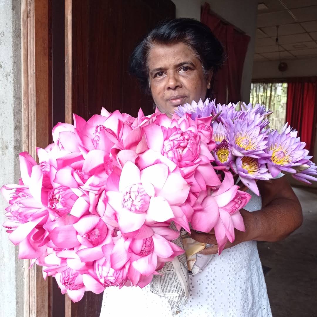 Post from DagaYa - දඟයා