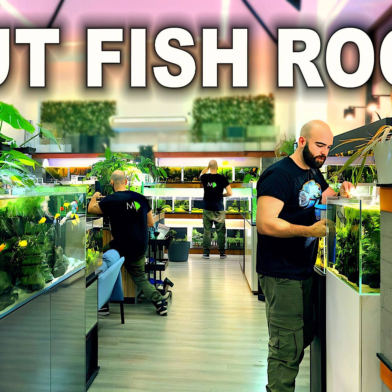 @mdfishtanks | MD Fish Tanks | fishfam.link