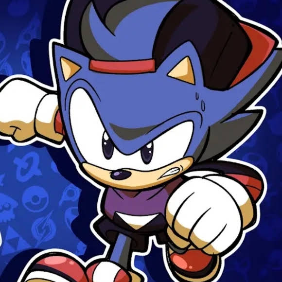 Post from SonicDaGamer