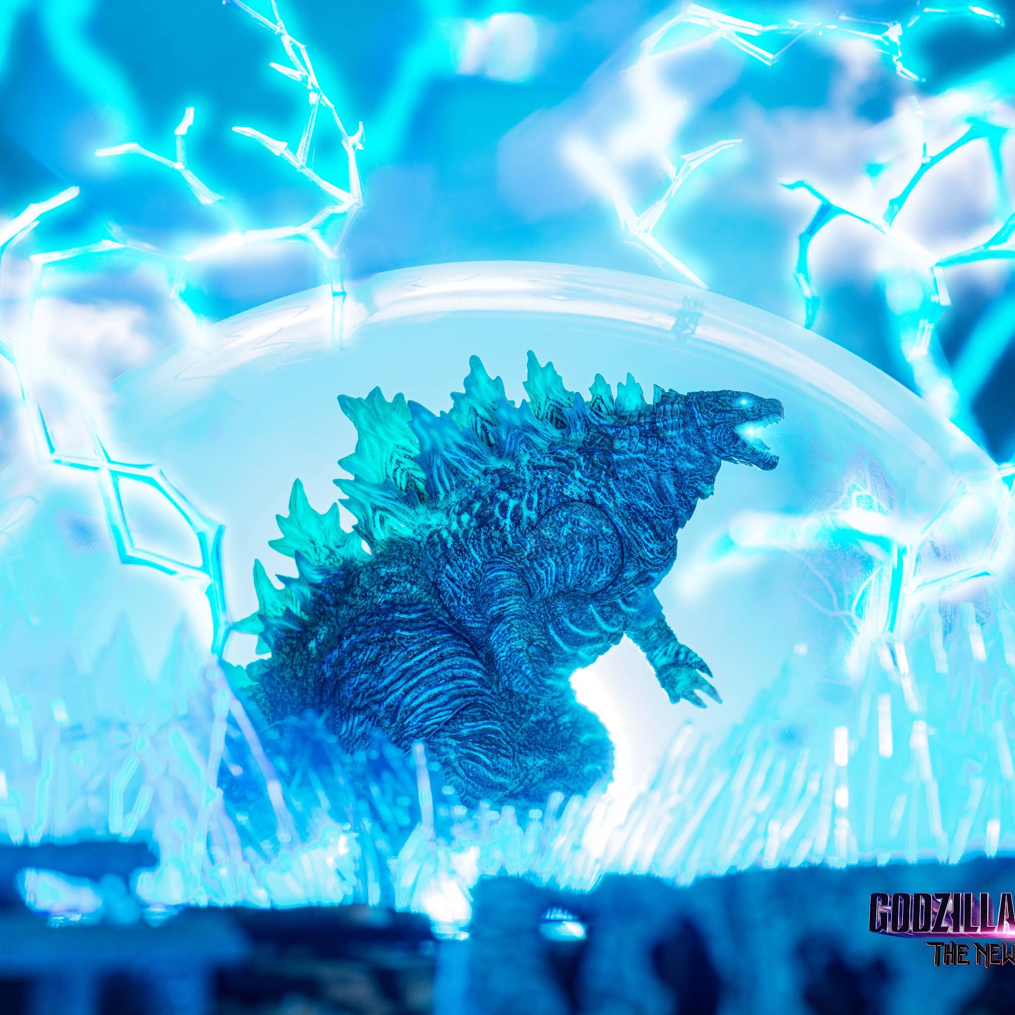 Post from FigureMania Show