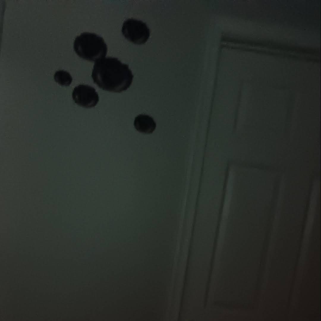 Post from allied_almond