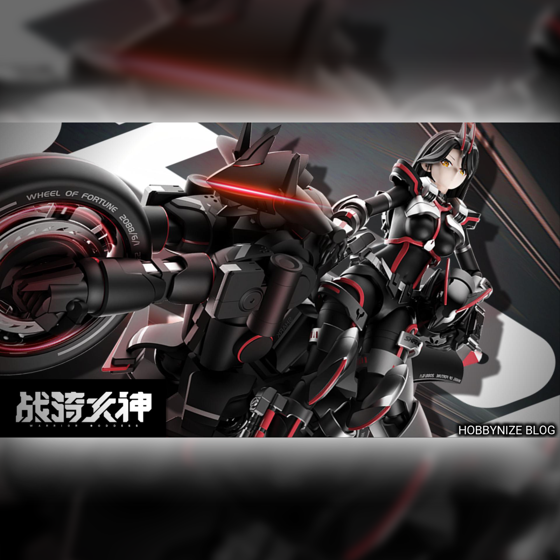 Post from Hobbynize Blog