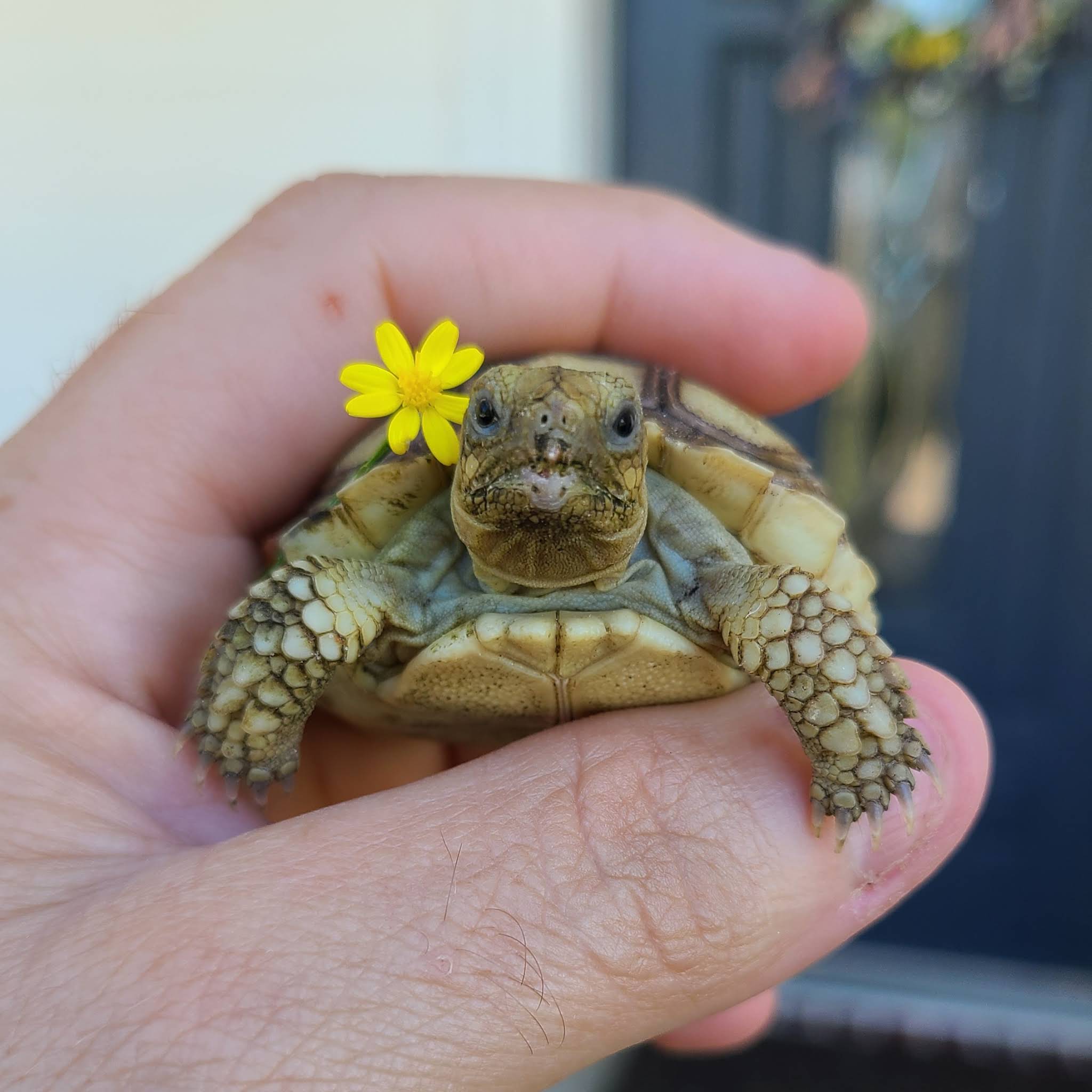 Post from Bobby Duke Arts