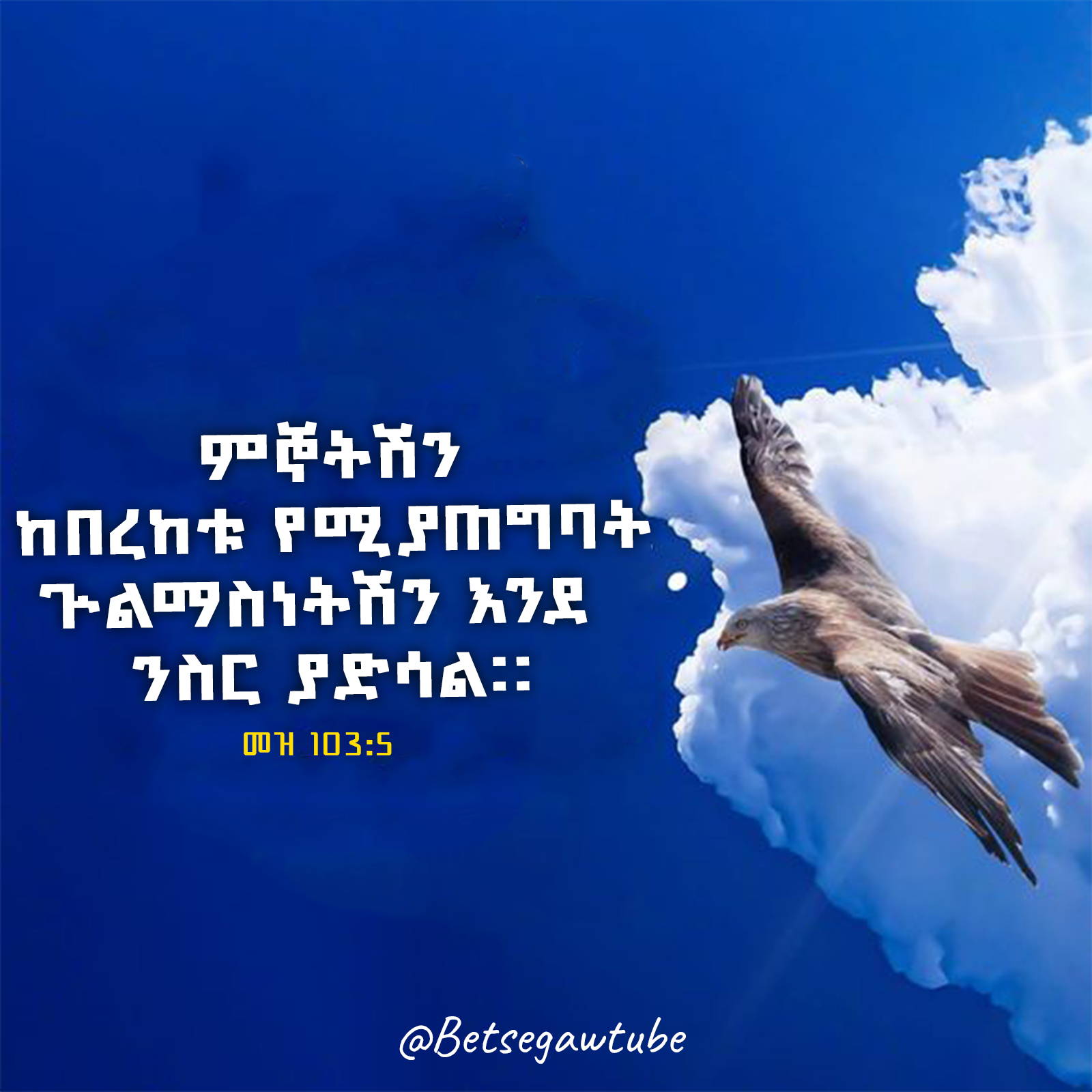 Post from Betsegaw tube