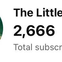 Post from The Little AL