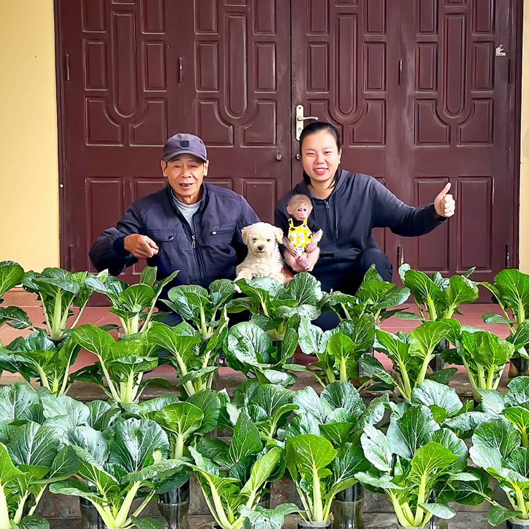 Post from TEO Garden