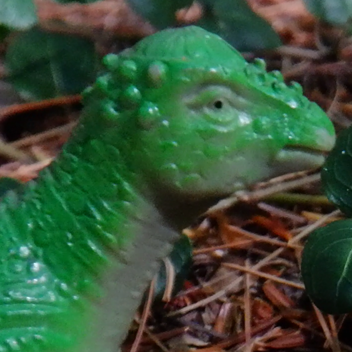 Post from Python Movies Productions
