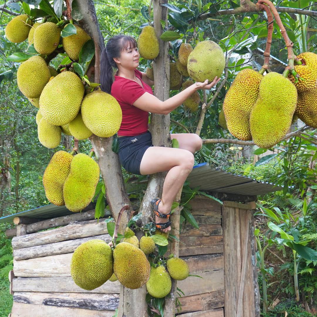 Post from Phương - Free Bushcraft