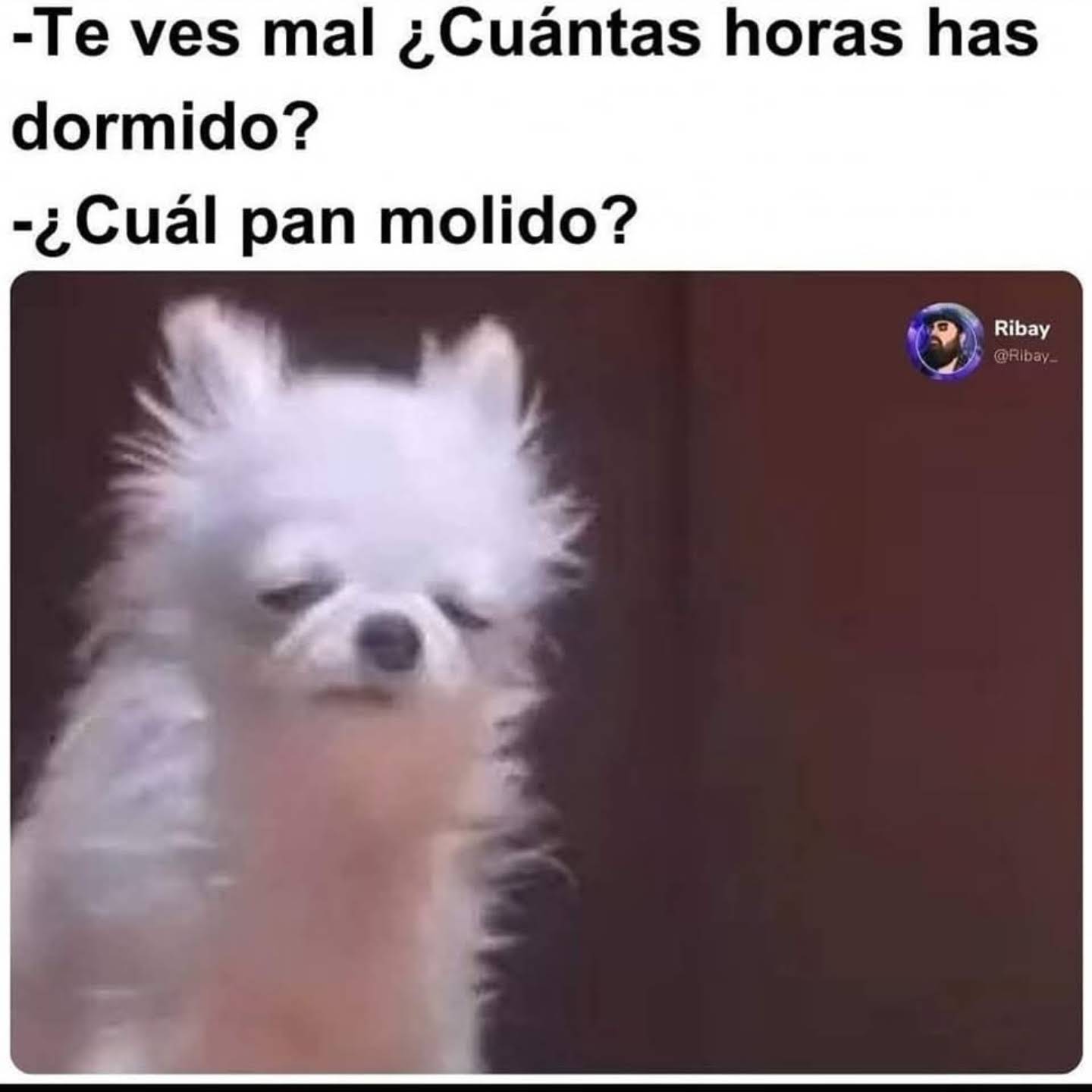 Post from SnowFlake Freak