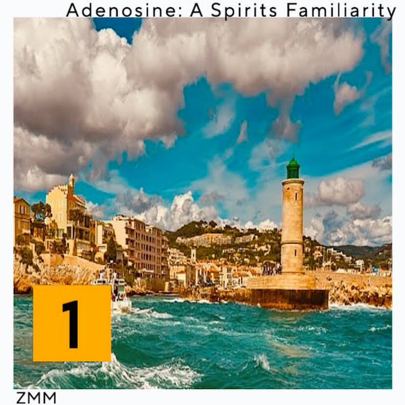 Post from Zhou Man Ma