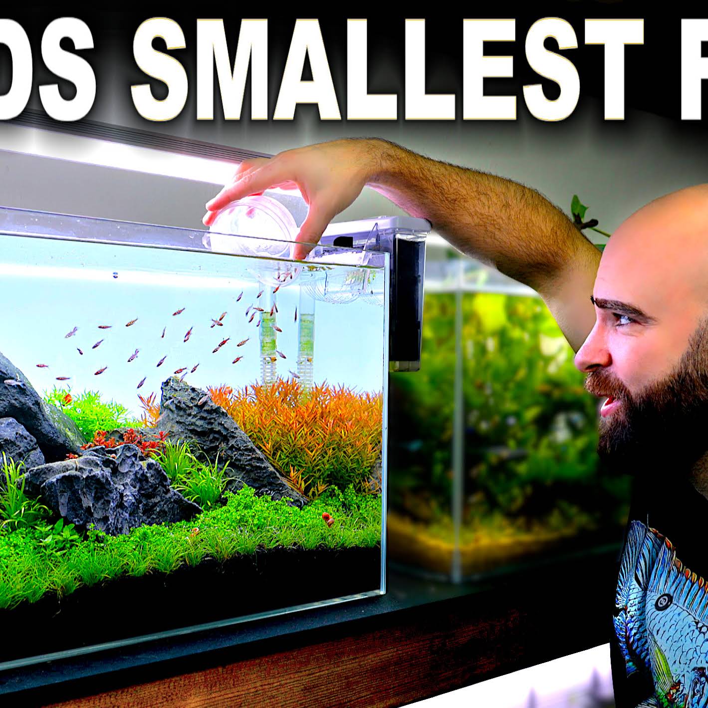 @mdfishtanks | MD Fish Tanks | fishfam.link