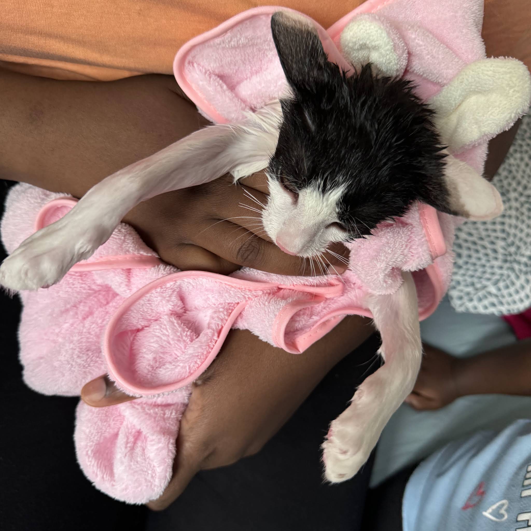 Post from Princess COCO