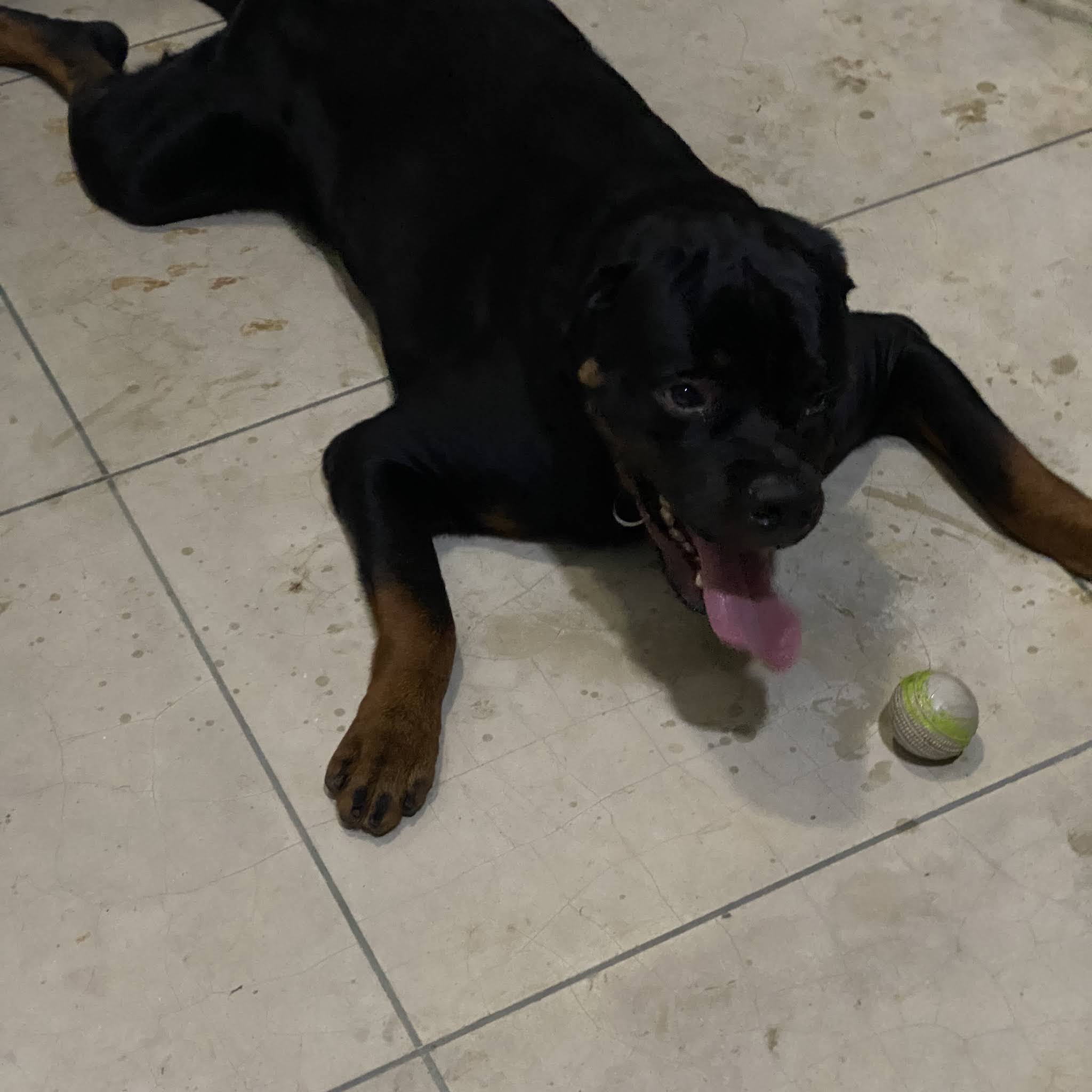 Post from Gehansa With Family...