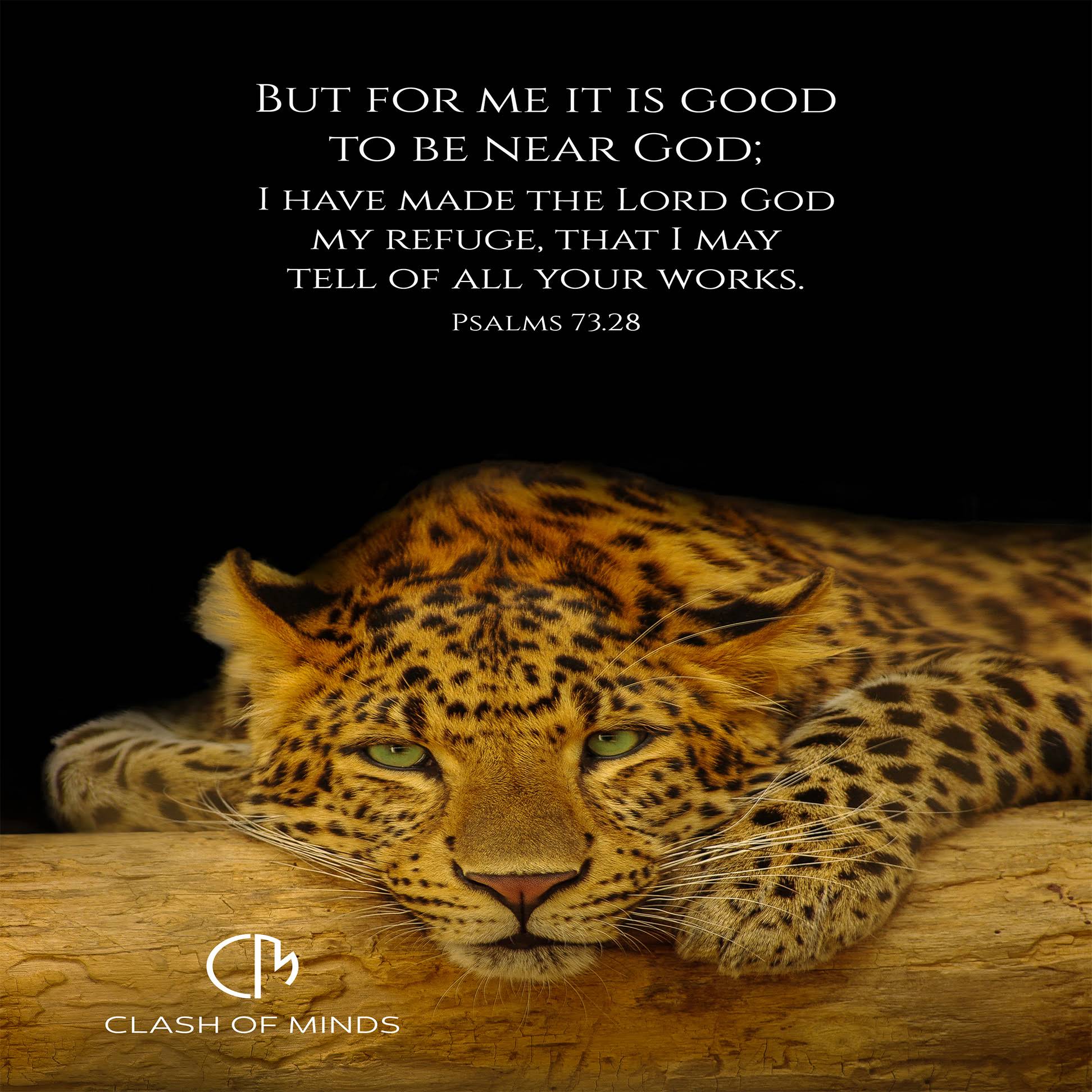 Post from Clash Of Minds