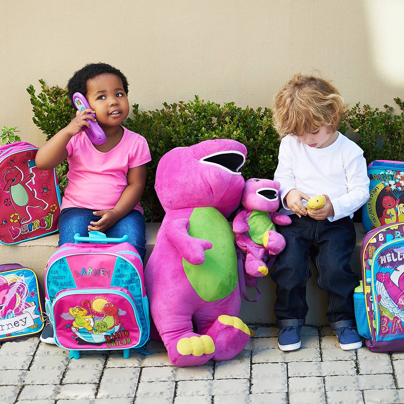 Post from The Barney Universe