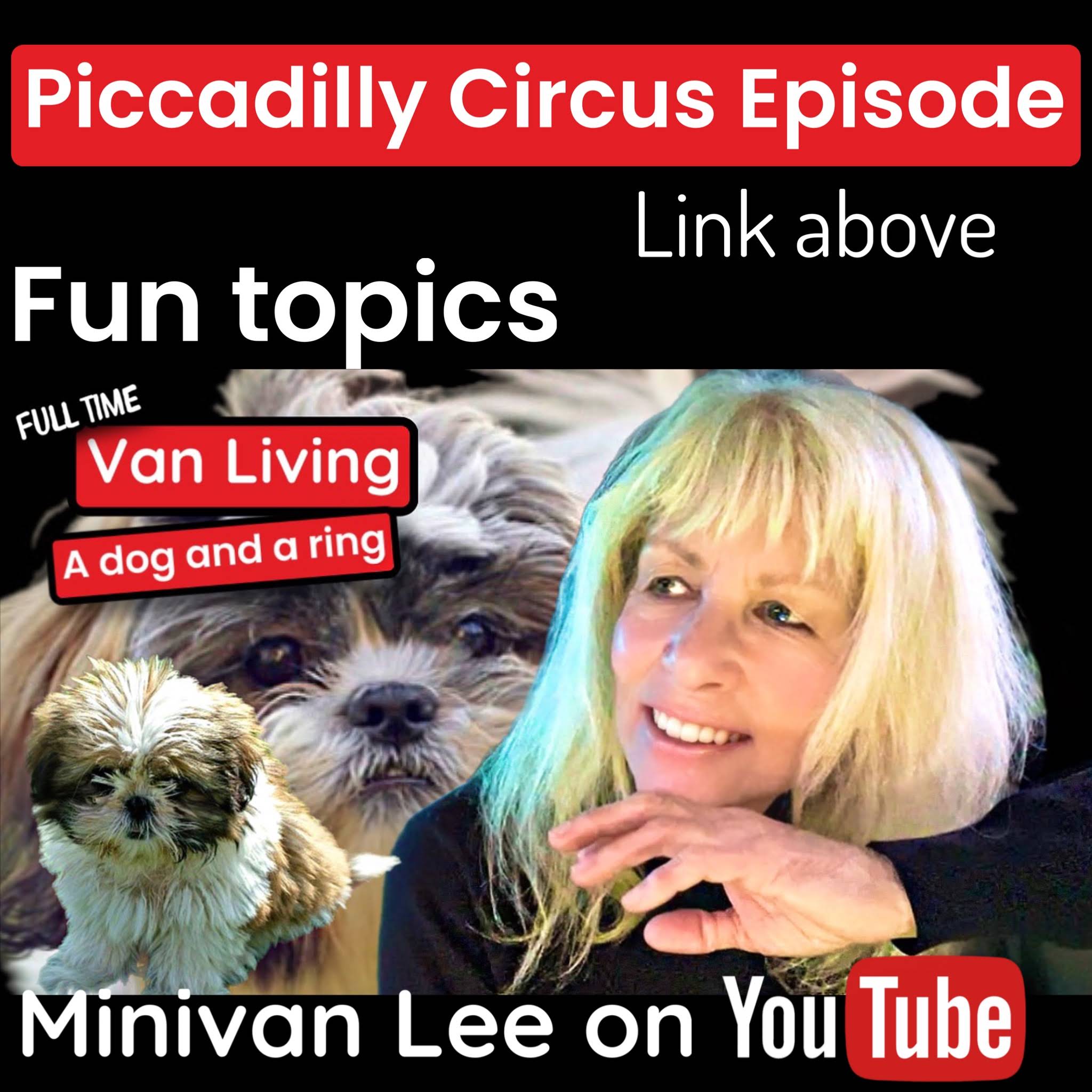 Post from The Minivan Lee Show