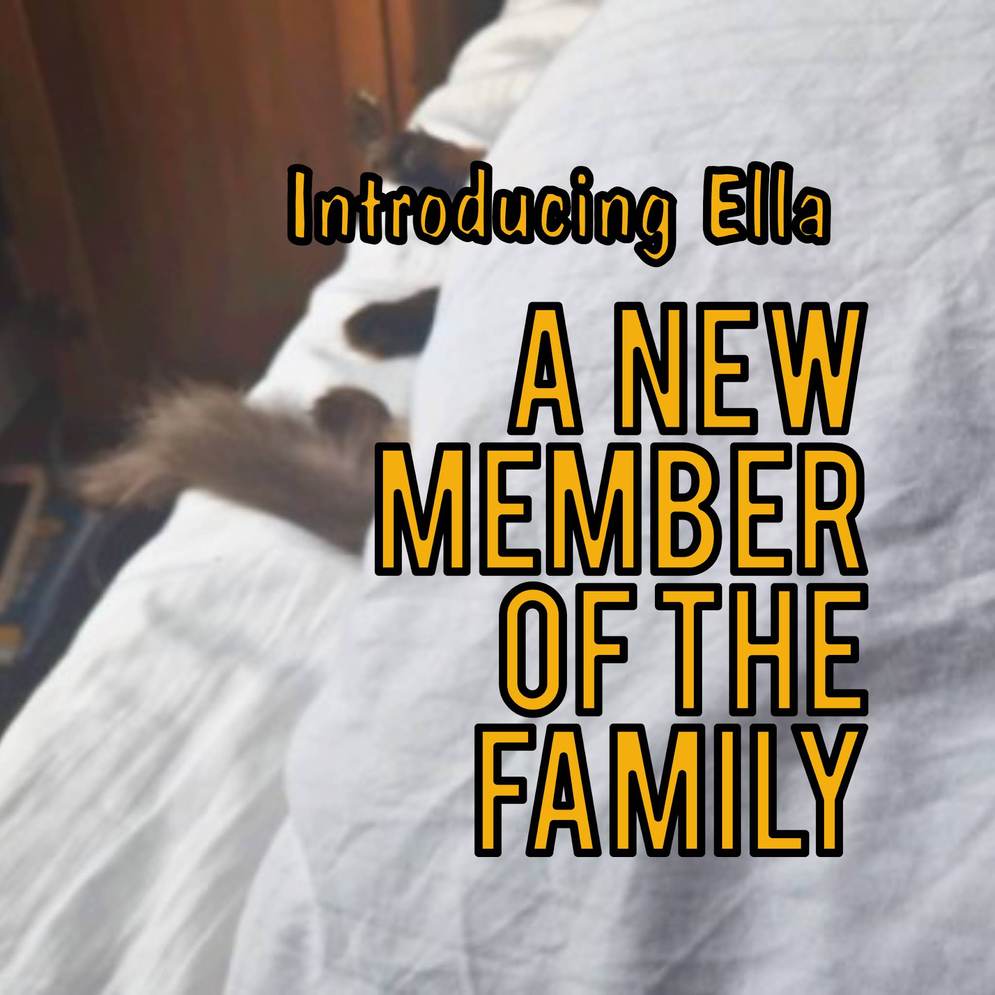 Post from Rescuing Ruby