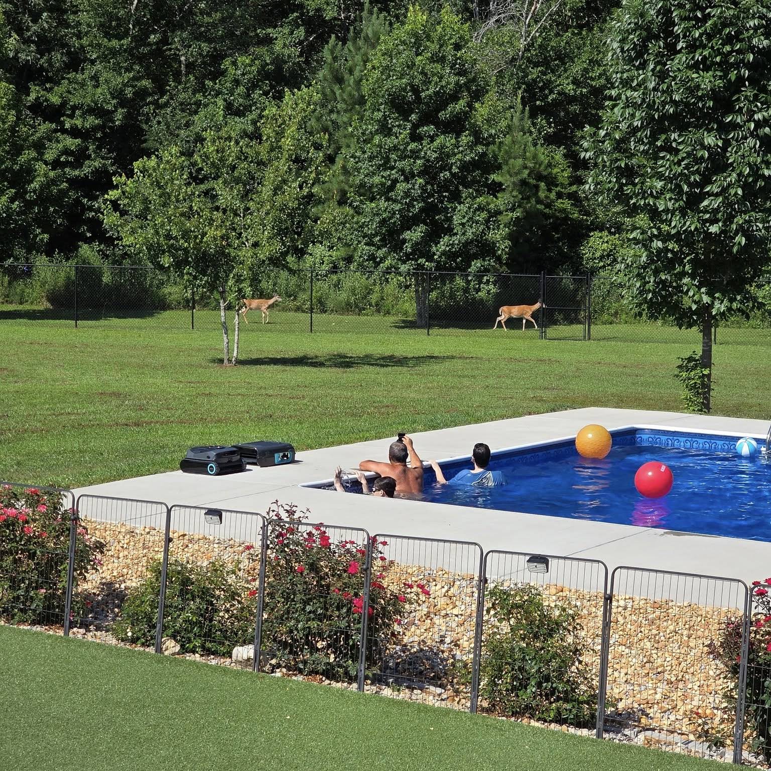 Post from The Battle Family