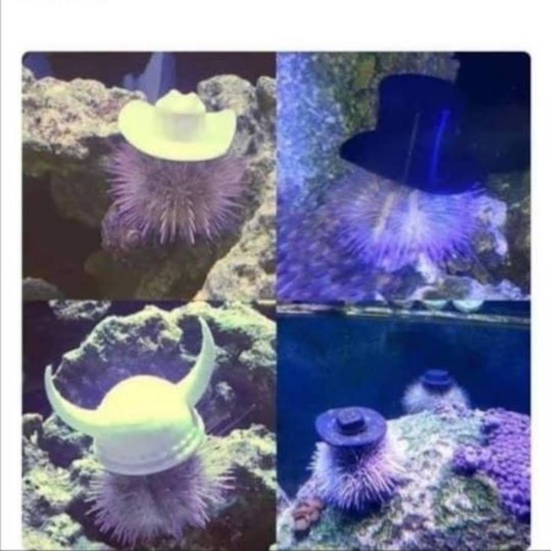 Post from No One Any Moore