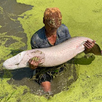 Poll from We All Love To Fish!