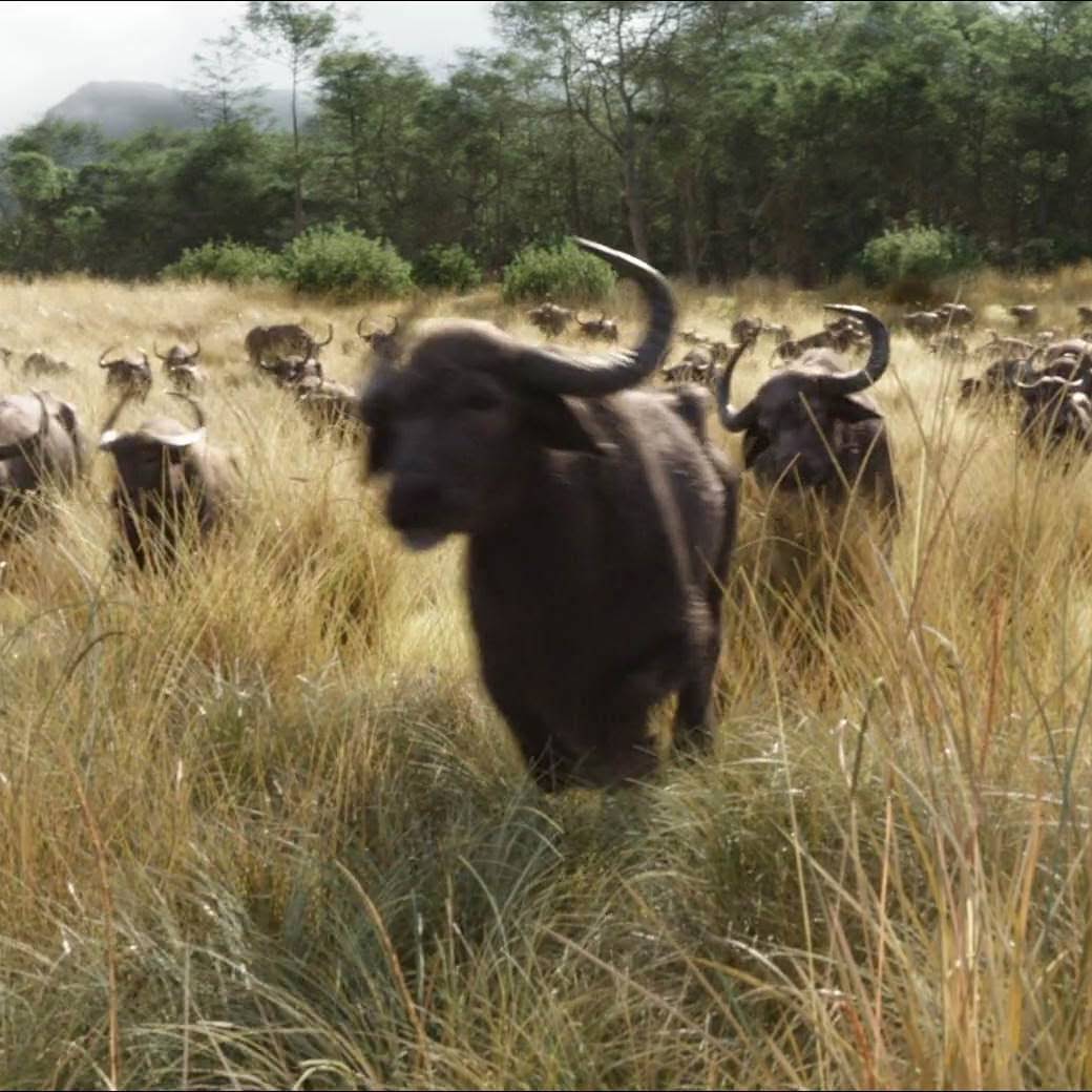 Post from Davidchannel 29 Entertaiment