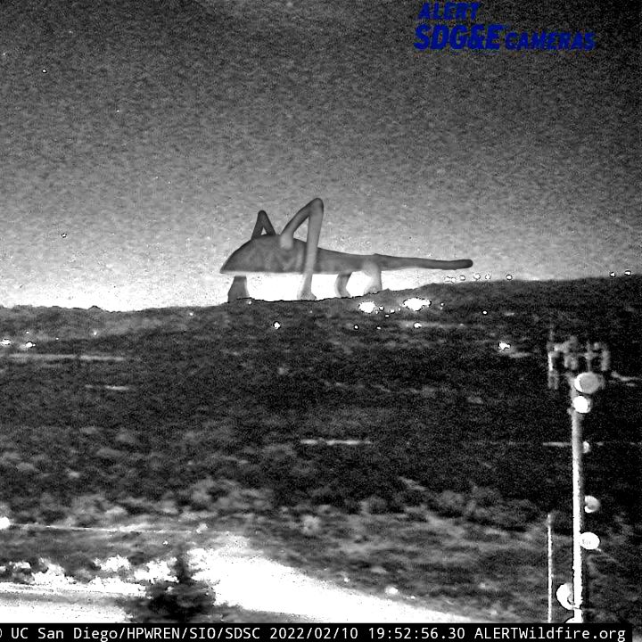 Post from Trato Lojj