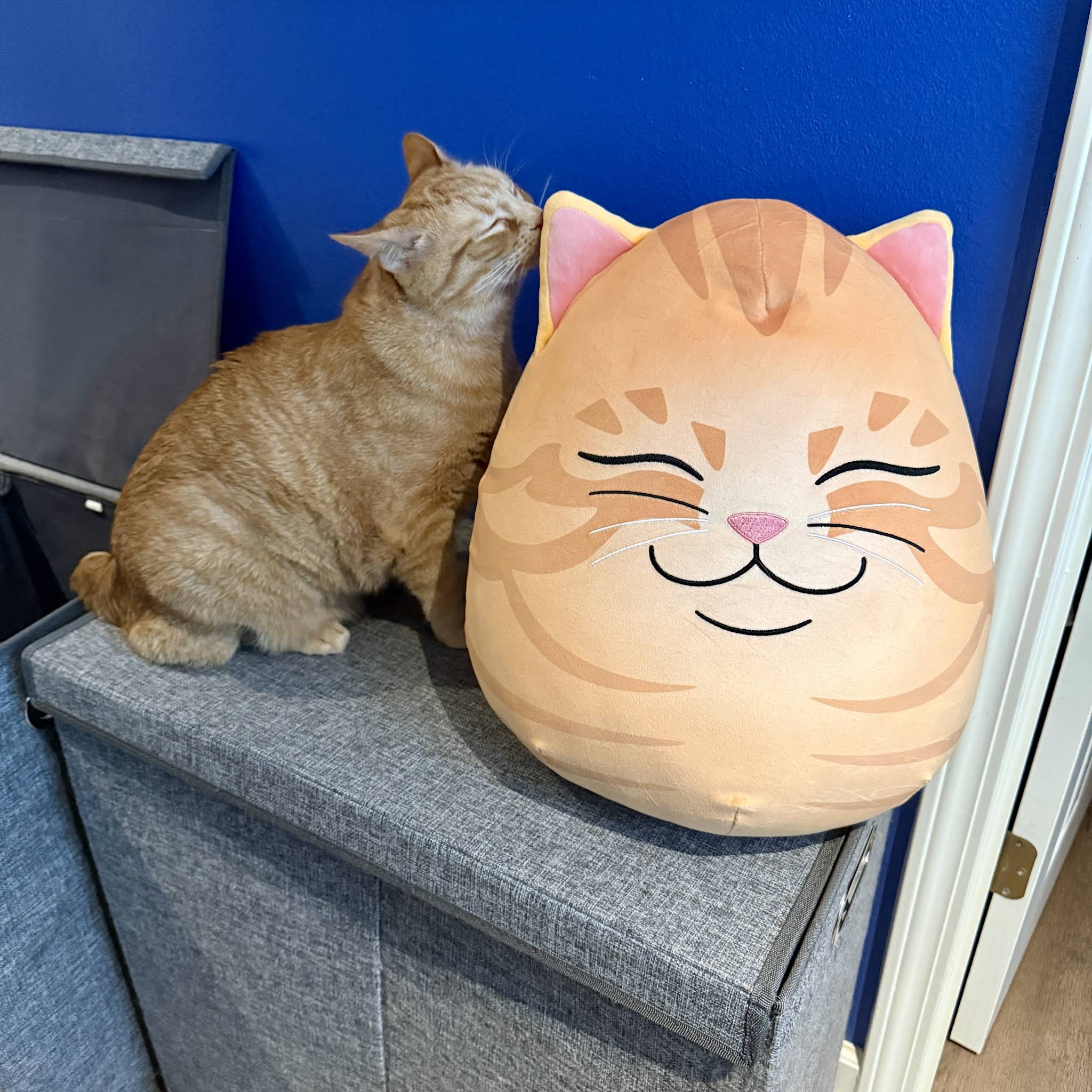 Post from Mauren | Cat Lady Tails