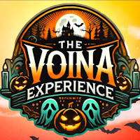 Poll from The Voina Experience