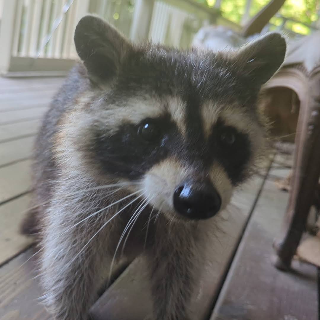 Post from Patrick Conley