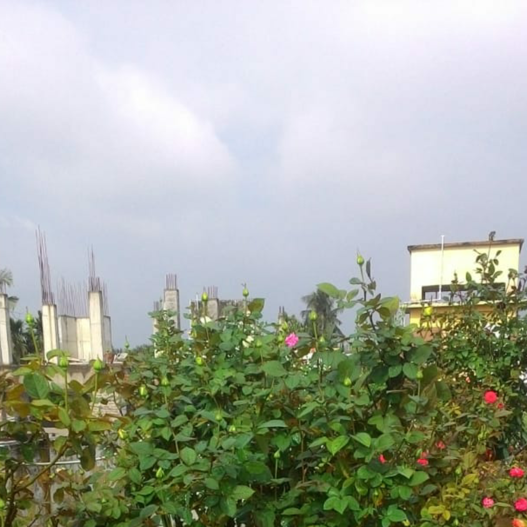 Post from Jit Mukherjee