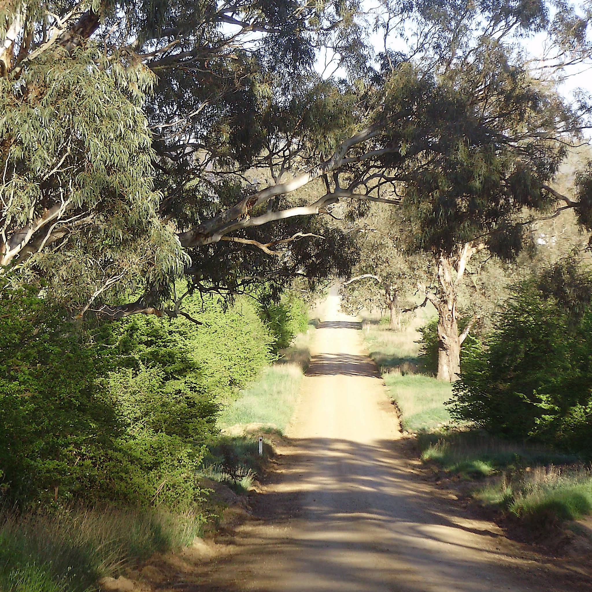 Post from Stephen Travers Art