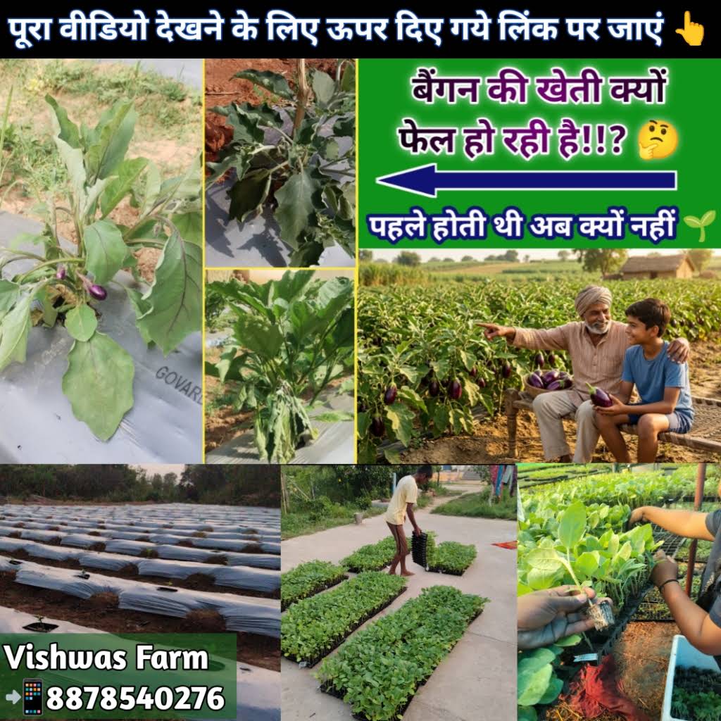 Post from Vishwas Farm