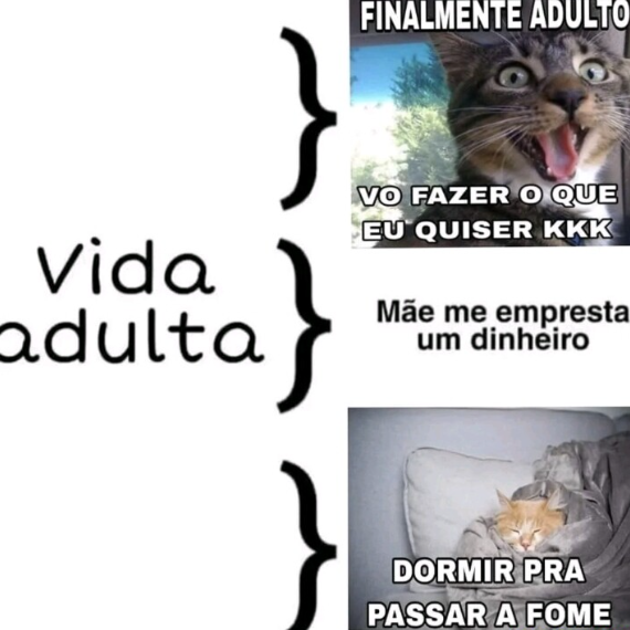 Post from Toranja Memes
