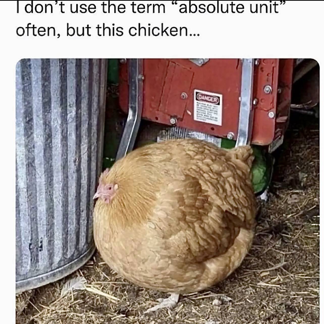 Post from TheWaffleGalaxy