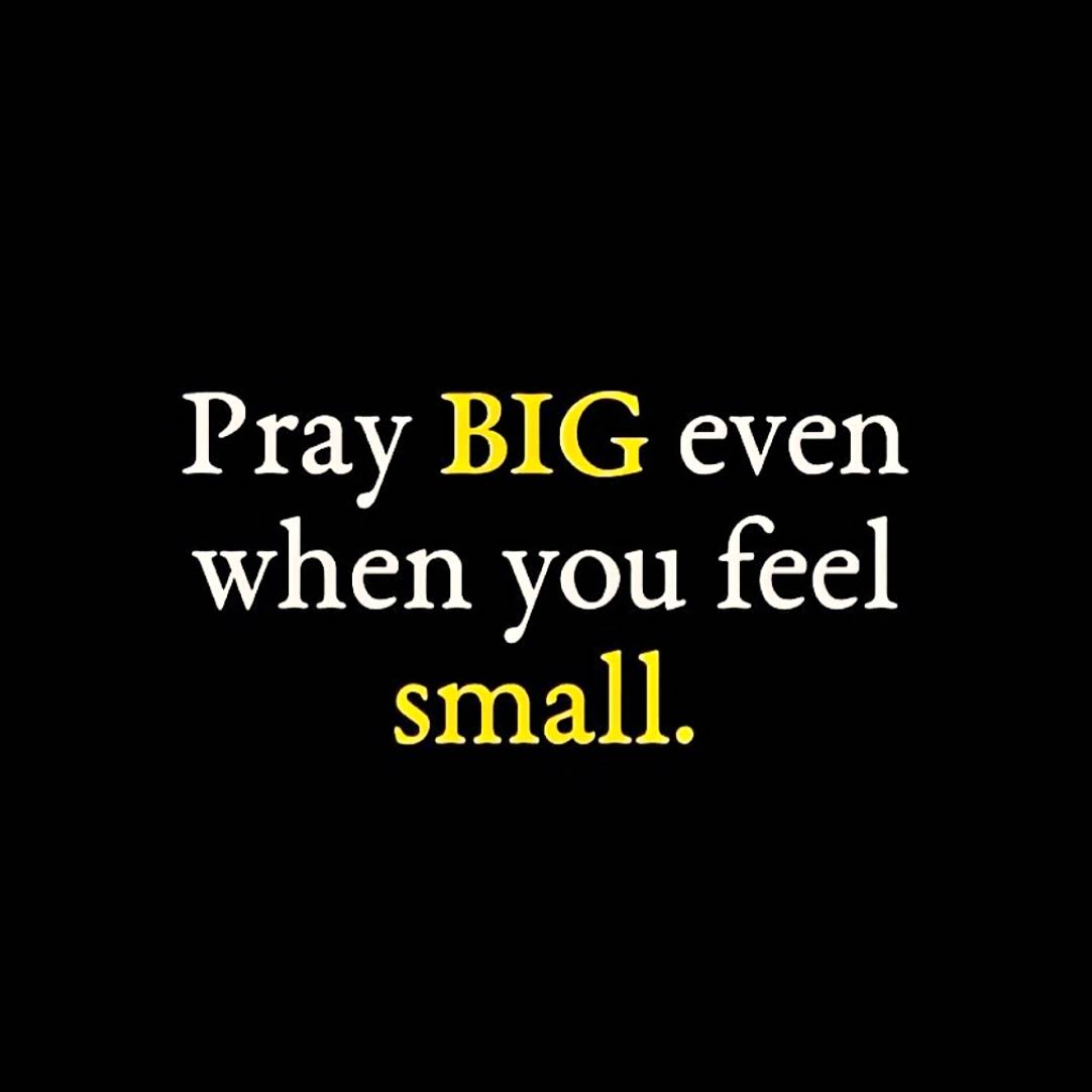 Post from 𝐓𝐡𝐞 𝐑𝐞𝐦𝐧𝐚𝐧𝐭 𝐑𝐢𝐬𝐢𝐧𝐠