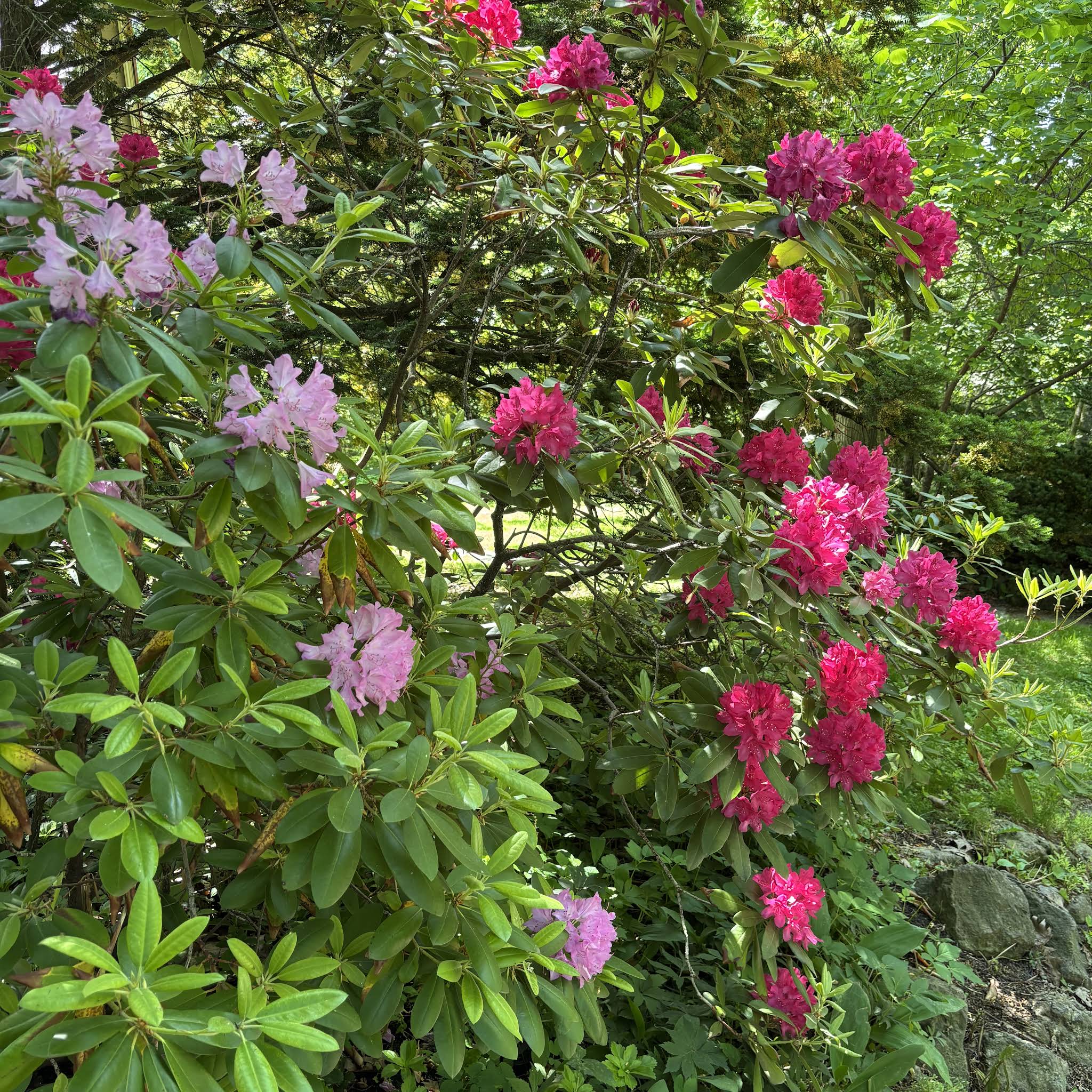 Post from Helen Avery