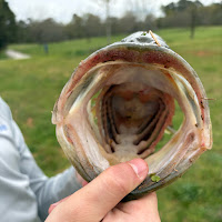 Post from CF Fishing