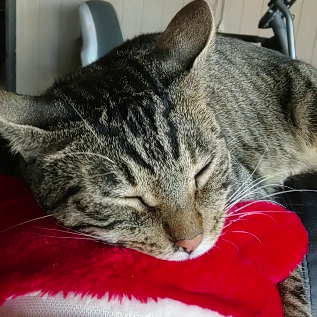 Post from MentisWave