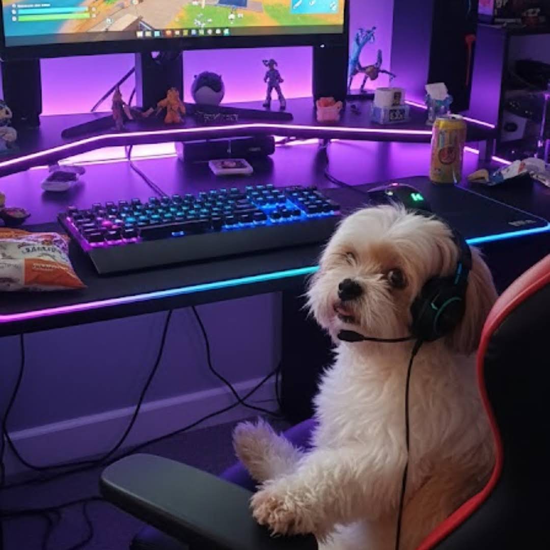 Post from Josh Games And Streams