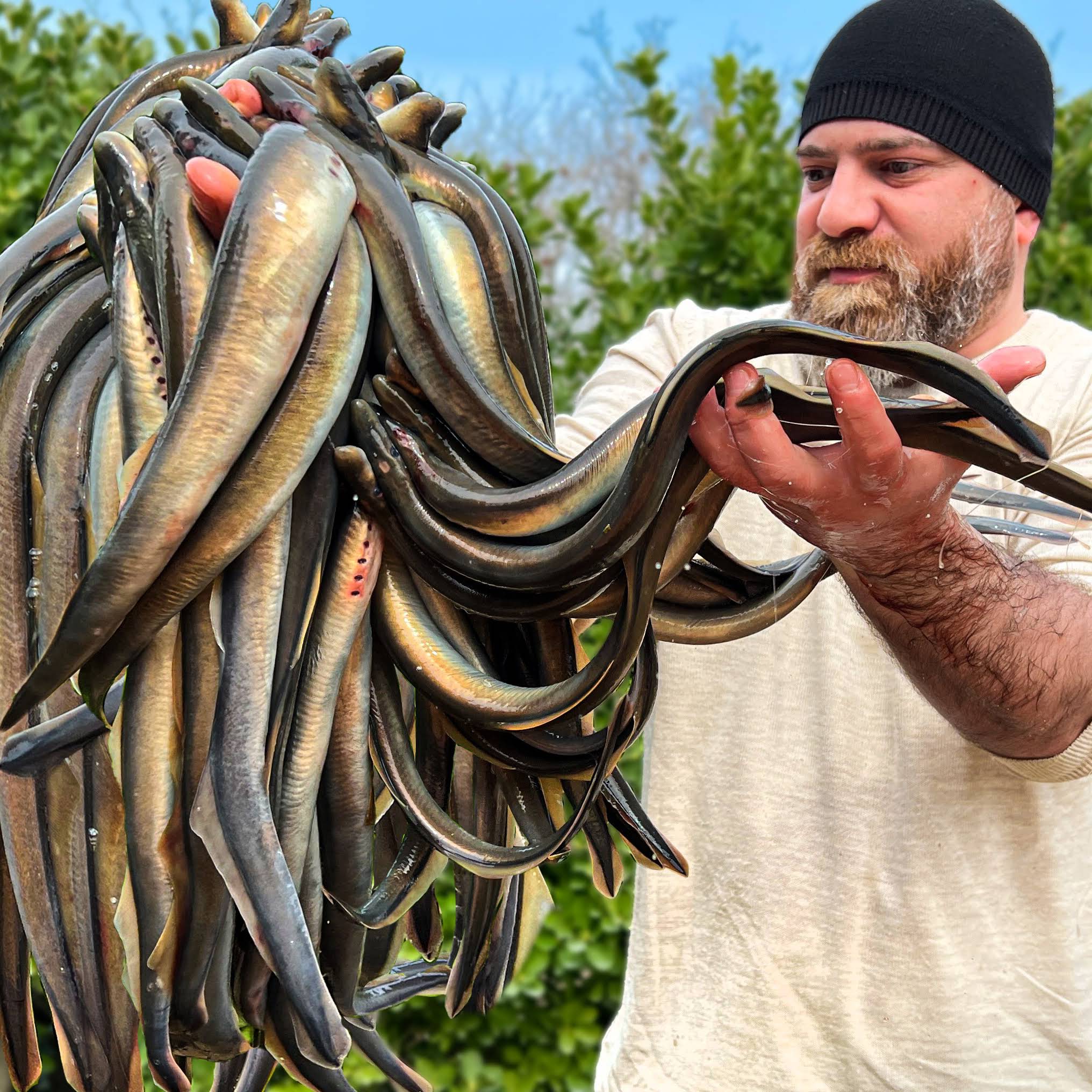 Post from Kanan Badalov