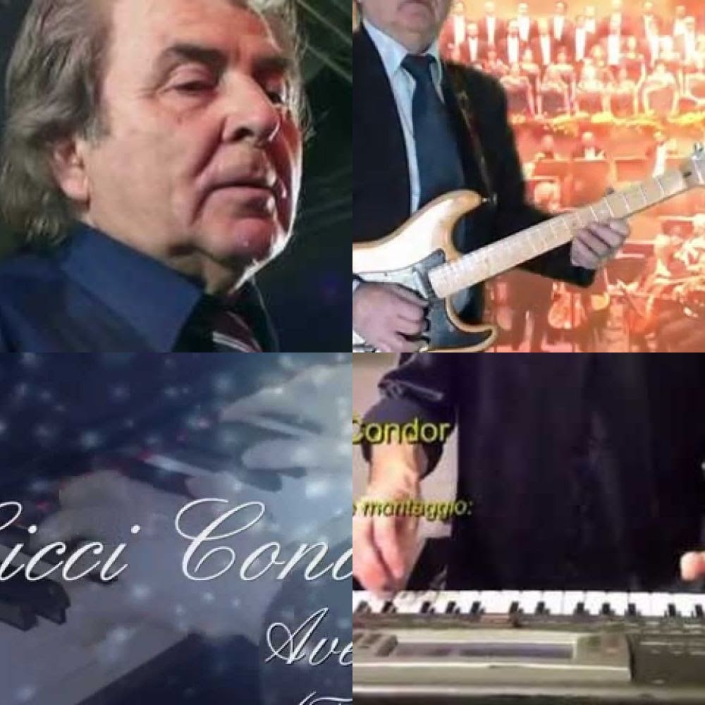 Cicci Guitar Condor
