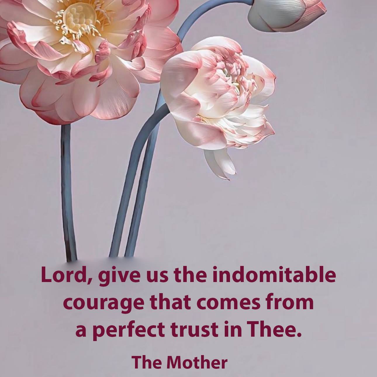 Post from Arvind T Akki Sri Aurobindo Ashram, Pondicherry