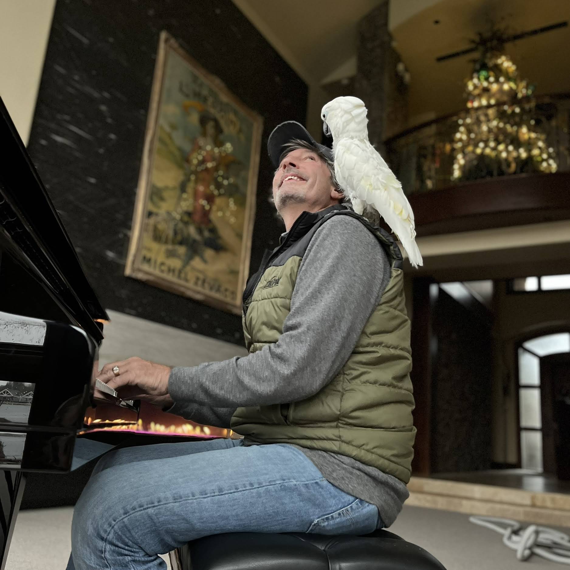 Post from The Parrot Lady